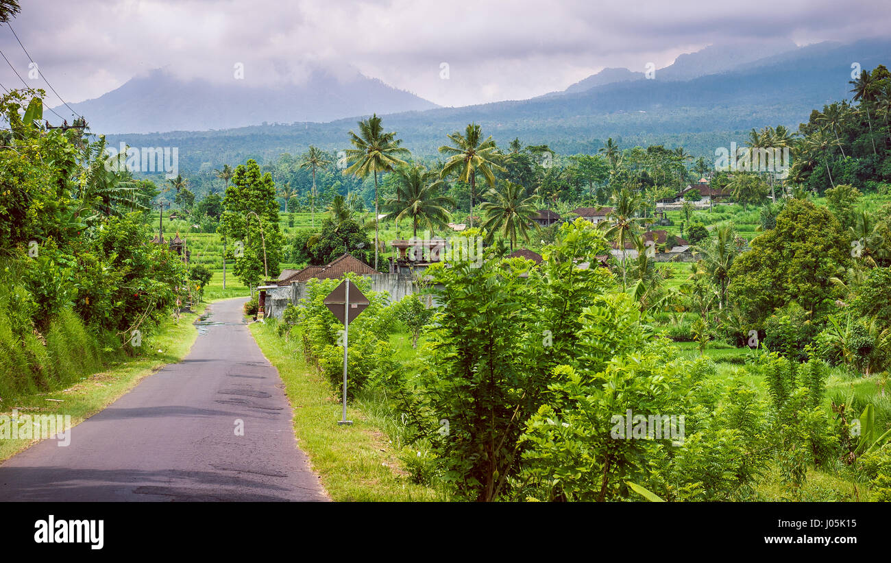 Bali road hi-res stock photography and images - Alamy