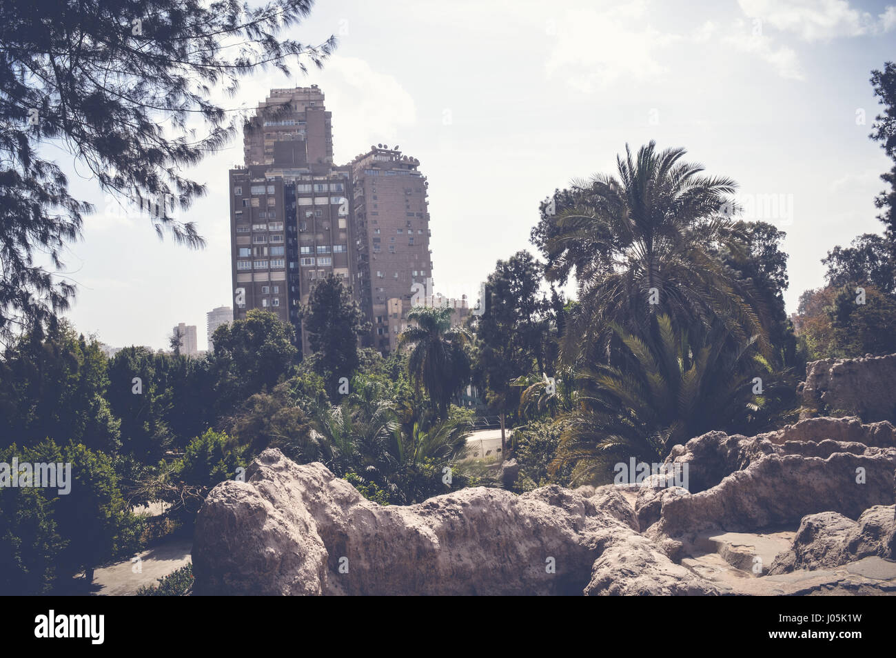 cairo, egypt, march 11, 2017: green nature with view of old buildings ...