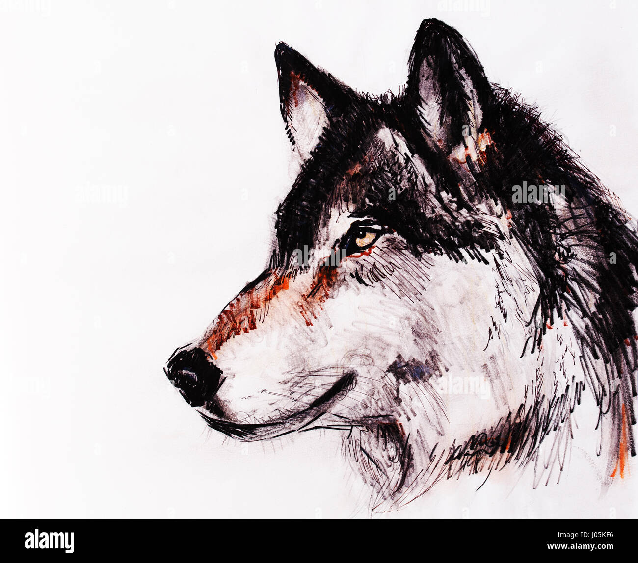 Wolf Head Side Profile Drawing