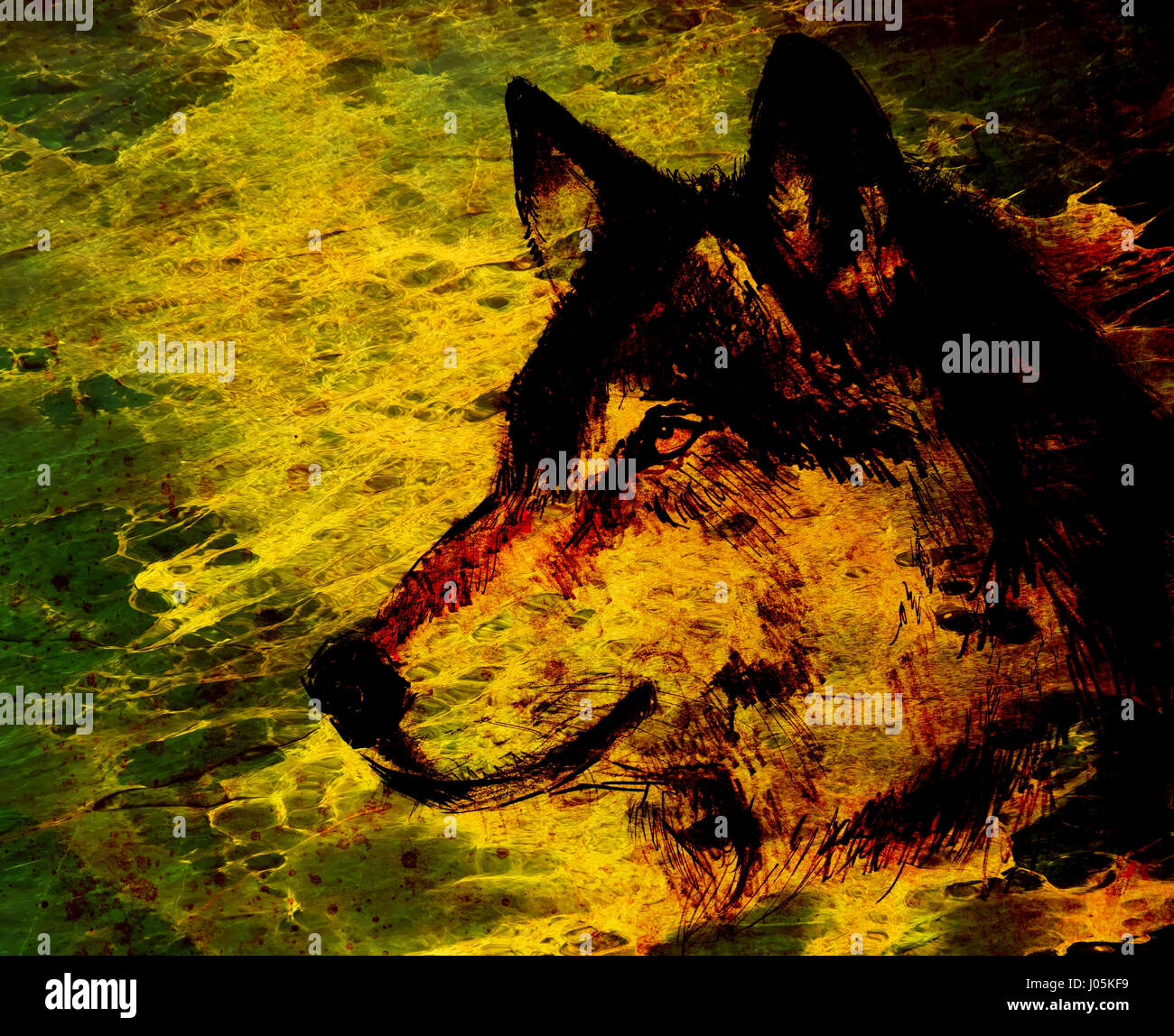 Drawing wolf on old paper, original hand draw. Color effect Stock Photo ...