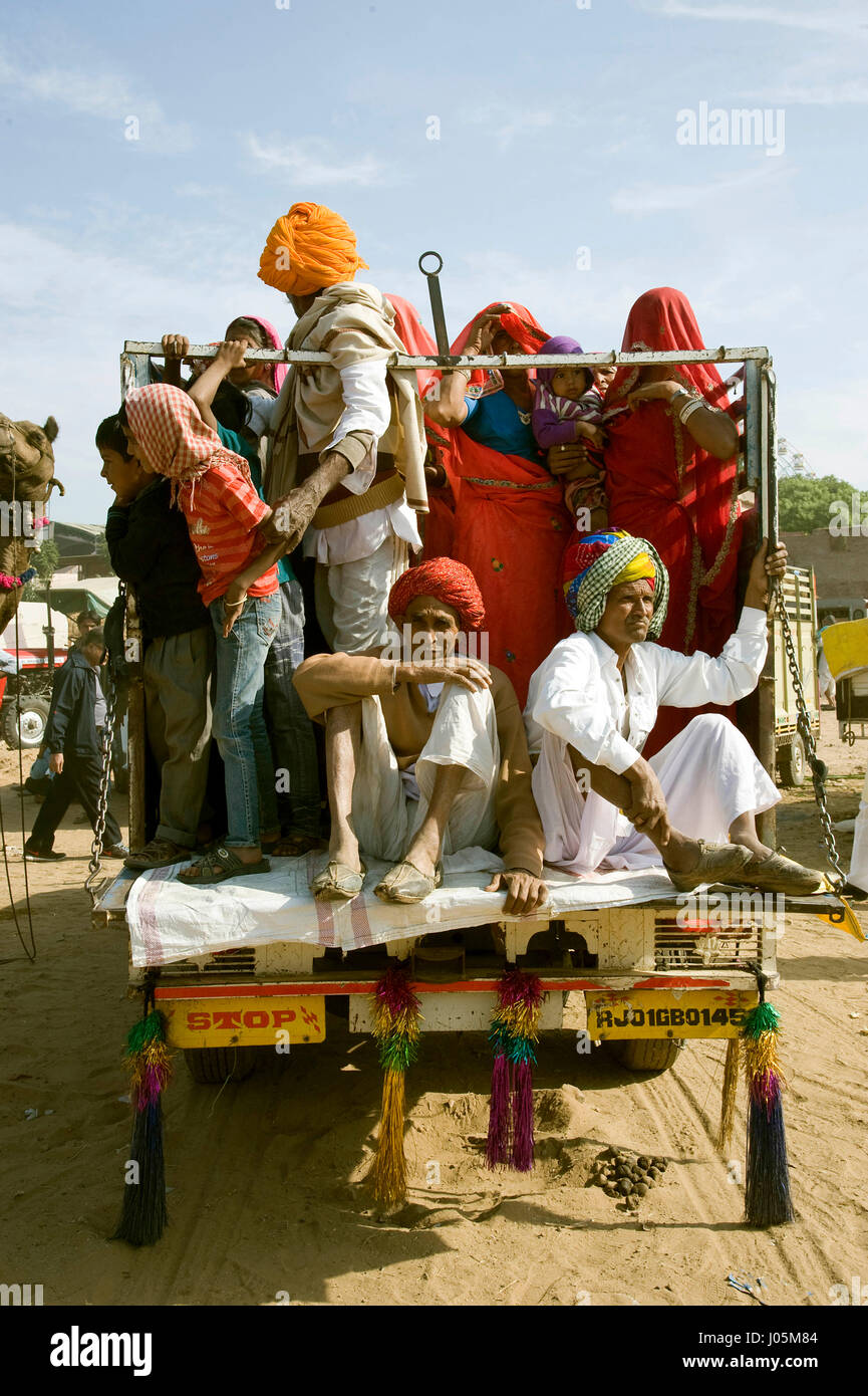 People travel in local jeep, pushkar mela, rajasthan, india, asia Stock ...