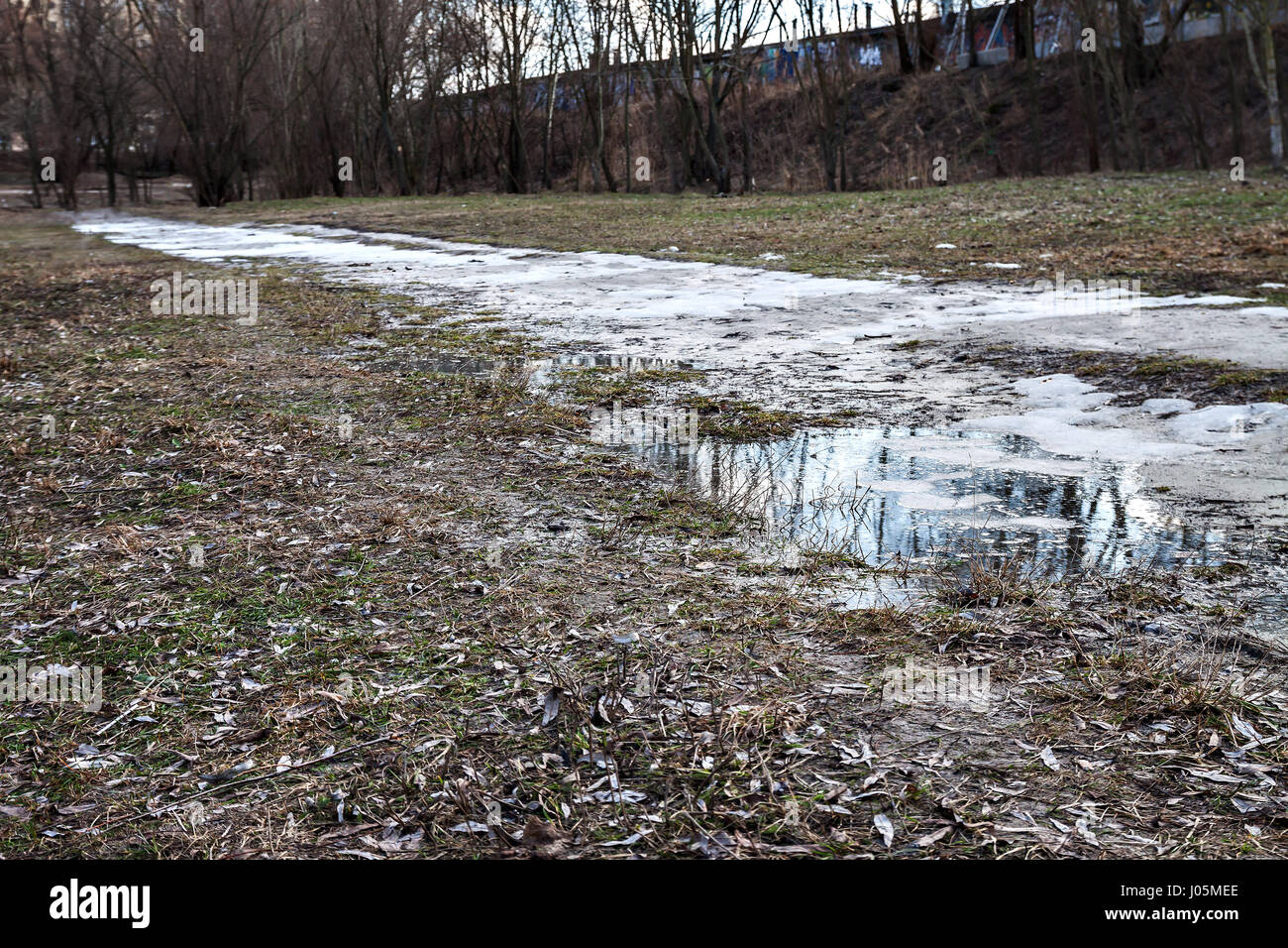 On the path in the park slush, puddle, snow Stock Photo - Alamy