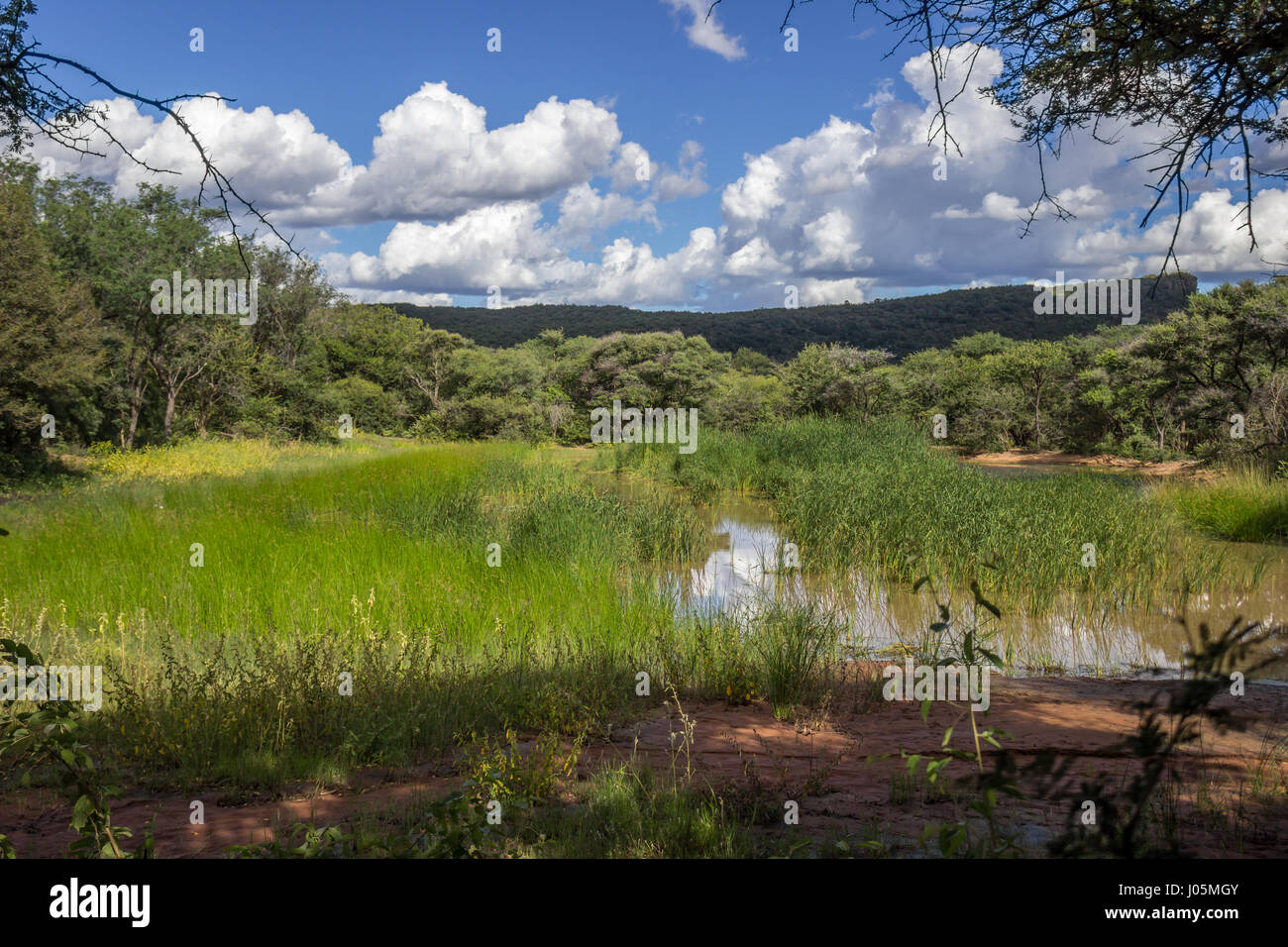 Marakele hi-res stock photography and images - Alamy