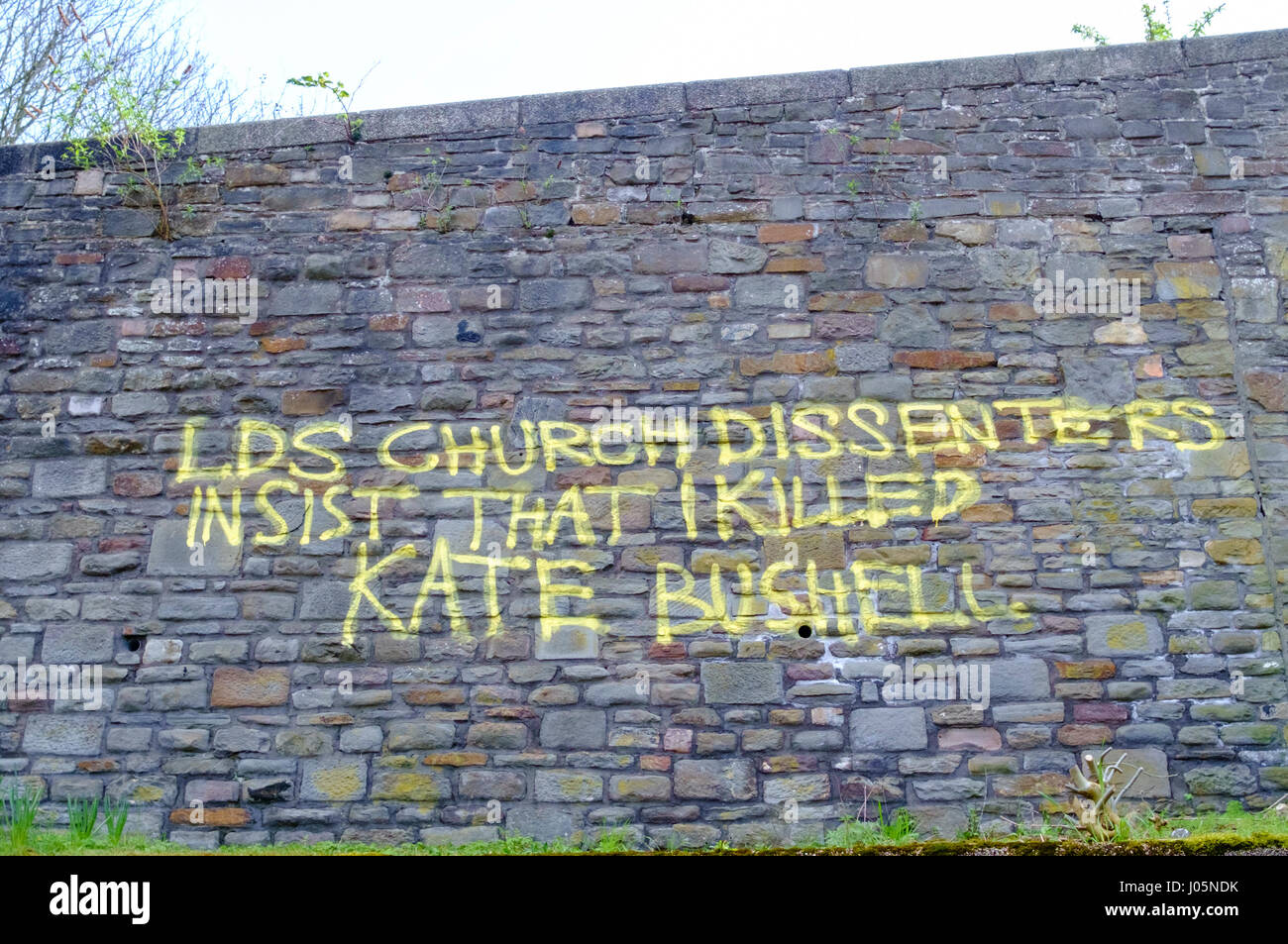 Kate Bushell High Resolution Stock Photography and Images - Alamy