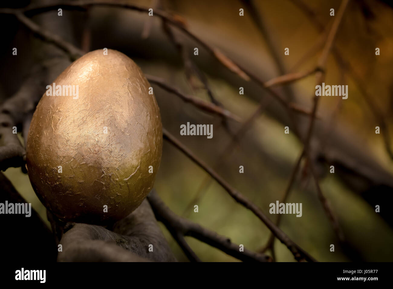 One golden egg hidden on a tree branch Stock Photo - Alamy
