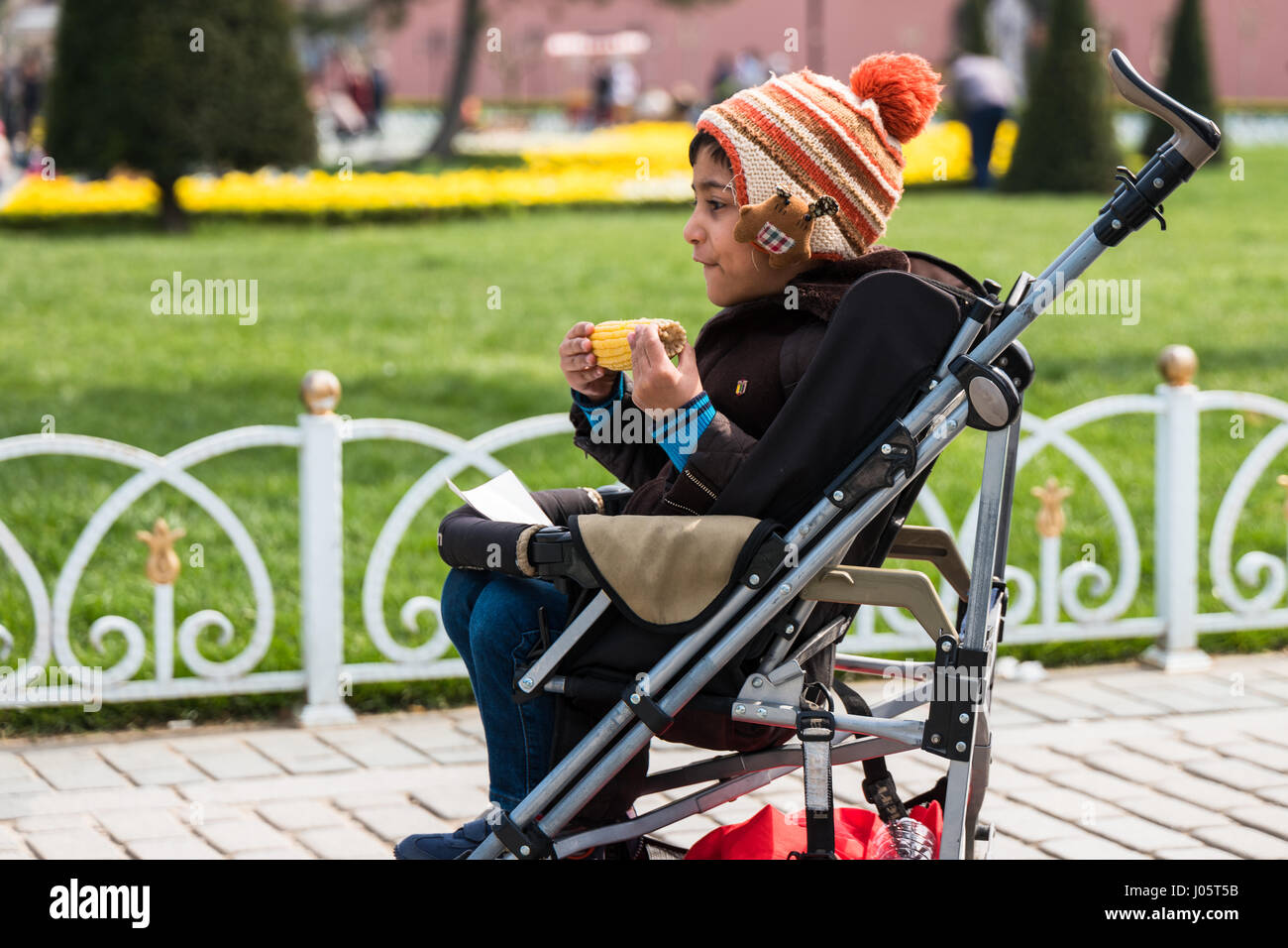 Boy sitting in stroller and eating corn on the cob in front of the ...