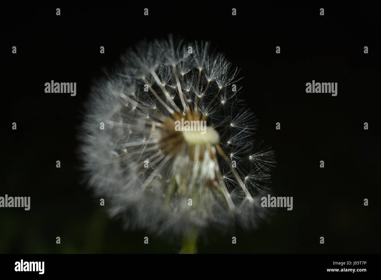Night upclose hi-res stock photography and images - Alamy
