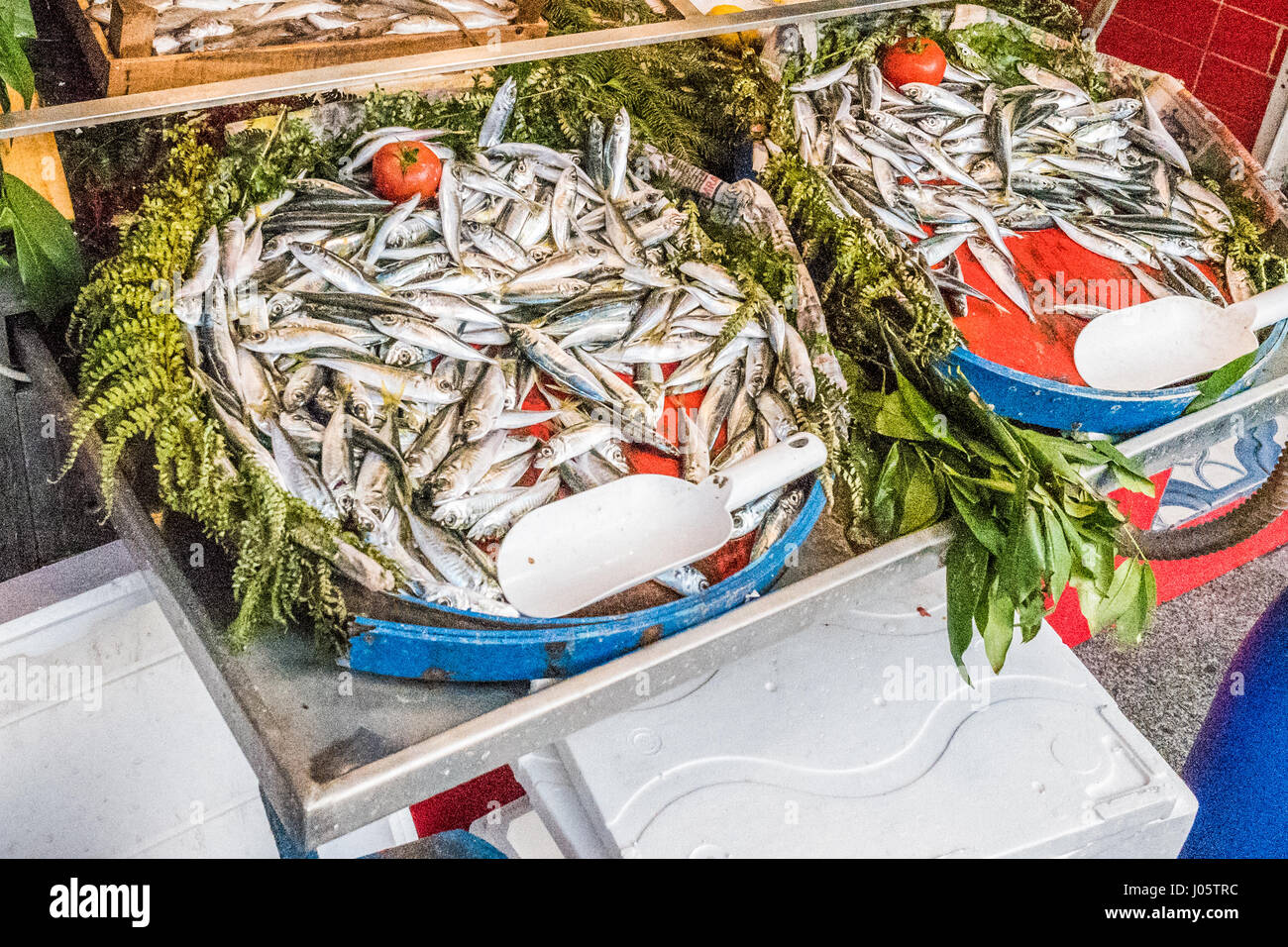 Fish market sardines smelts tiny fish fresh bay leaves tomatoes hi-res ...