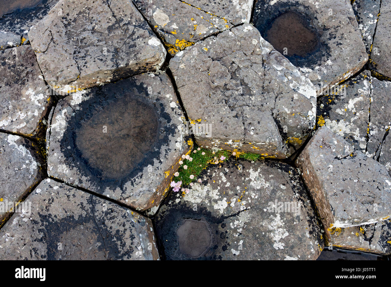 Hexagonal columns northern ireland hi-res stock photography and images ...