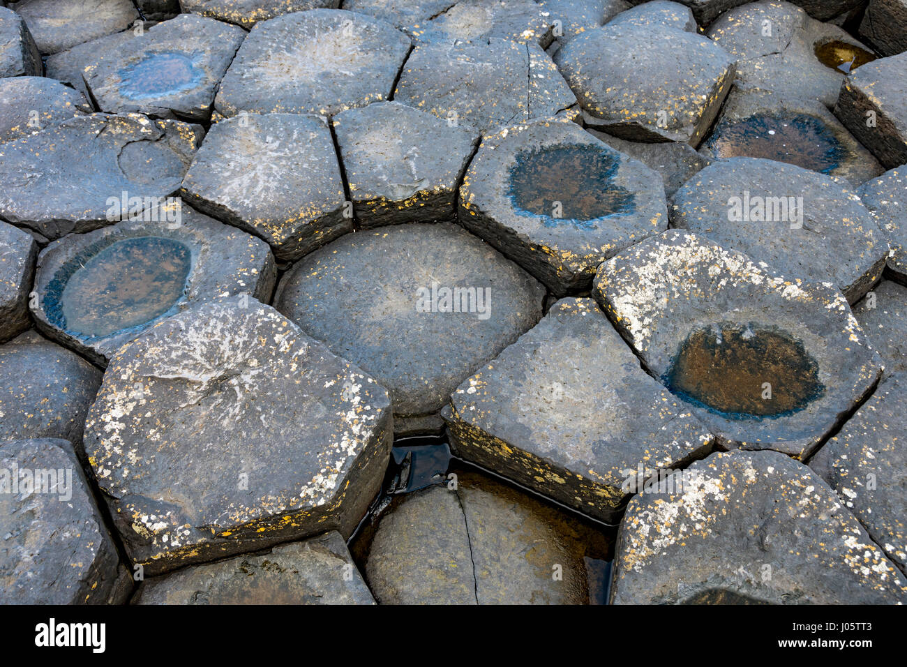 Hexagonal basalt columns at the Giant's Causeway, Causeway Coast ...