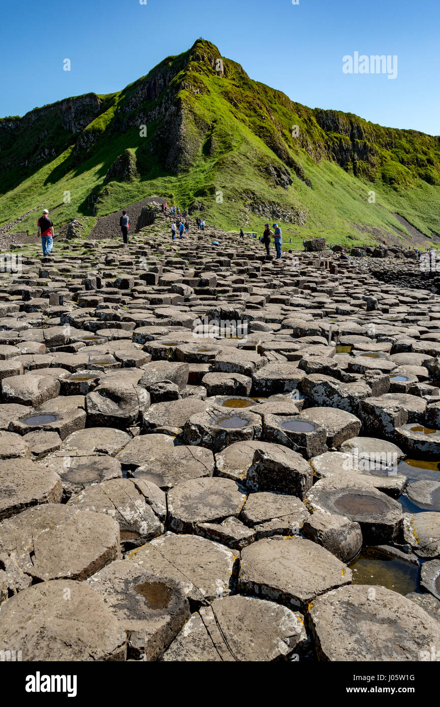 Aird Snout and the Grand Causeway of the Giant's Causeway, Causeway ...