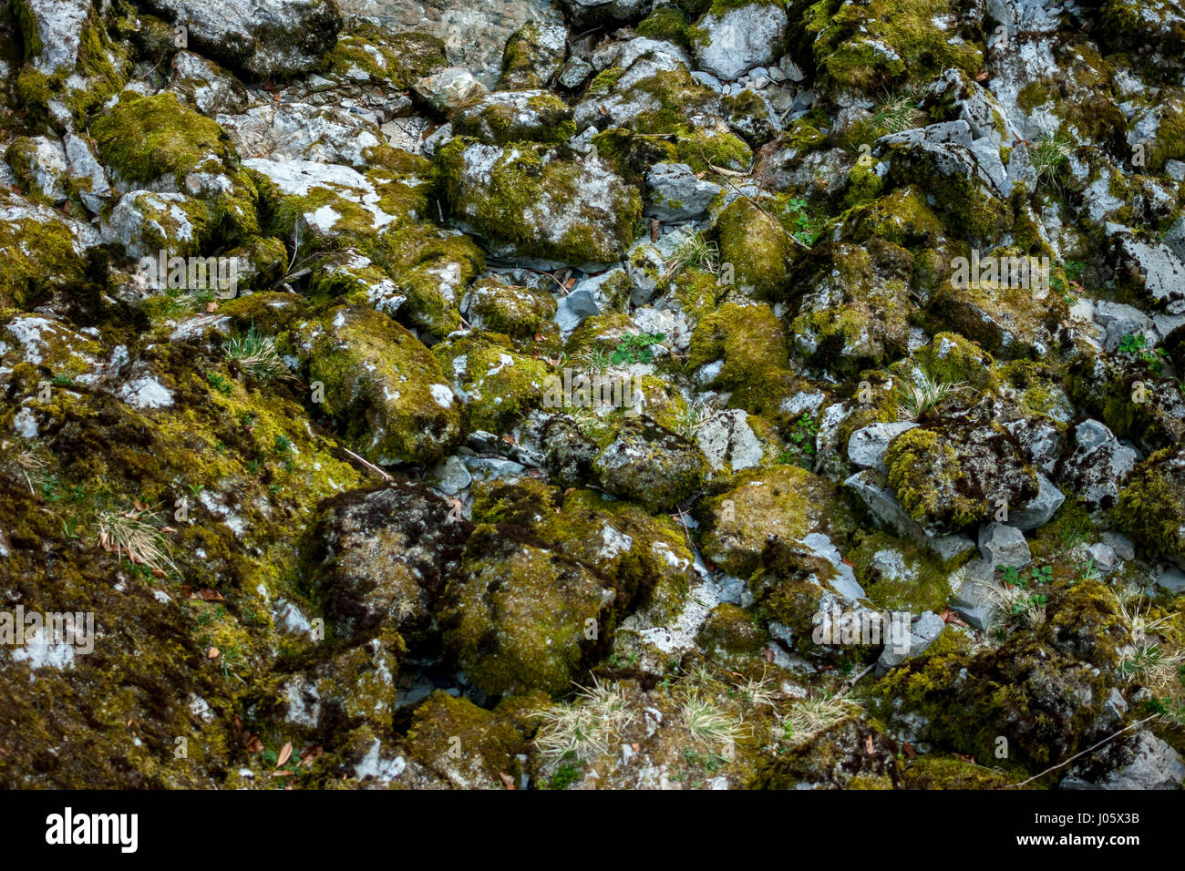Beautiful stone green moss hi-res stock photography and images - Alamy