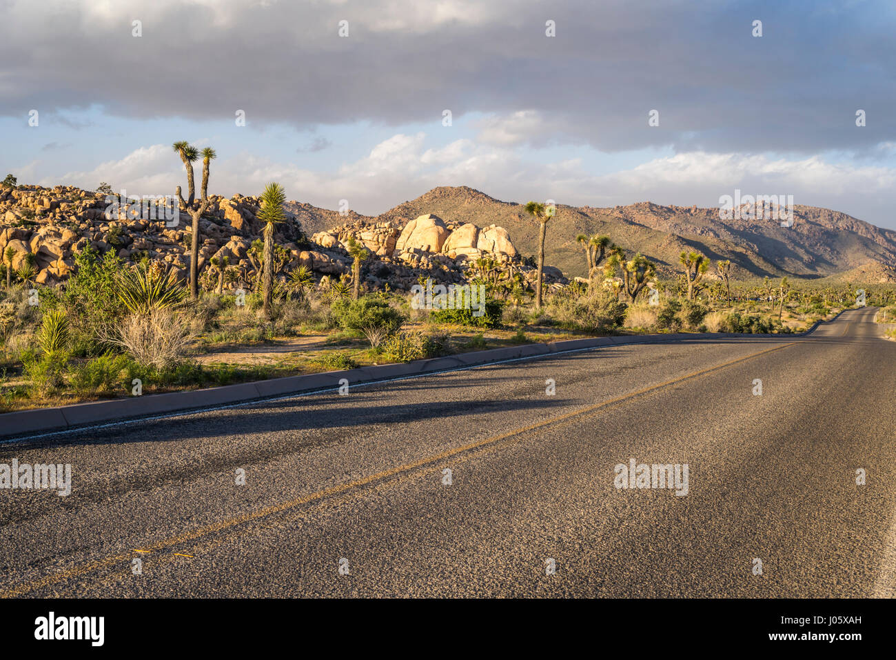 Desert landscape and road running through Joshua Tree National Park ...
