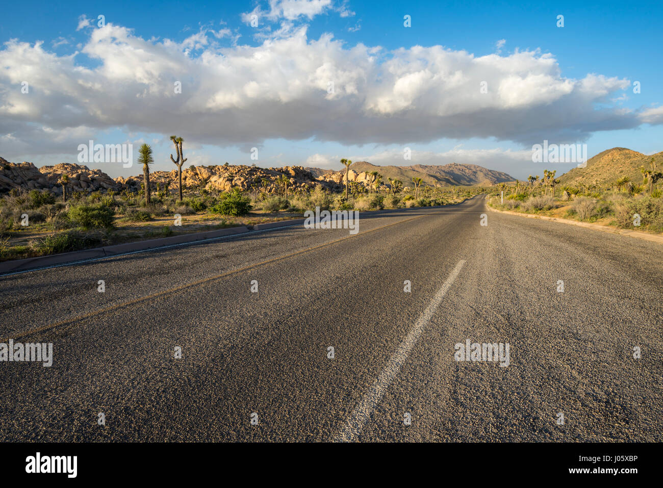 Desert landscape and road running through Joshua Tree National Park ...