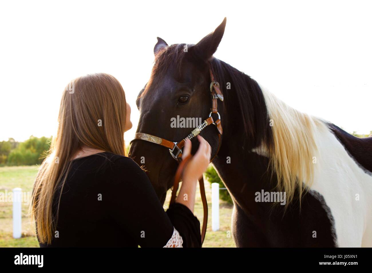 Bond between horse human hi-res stock photography and images - Alamy