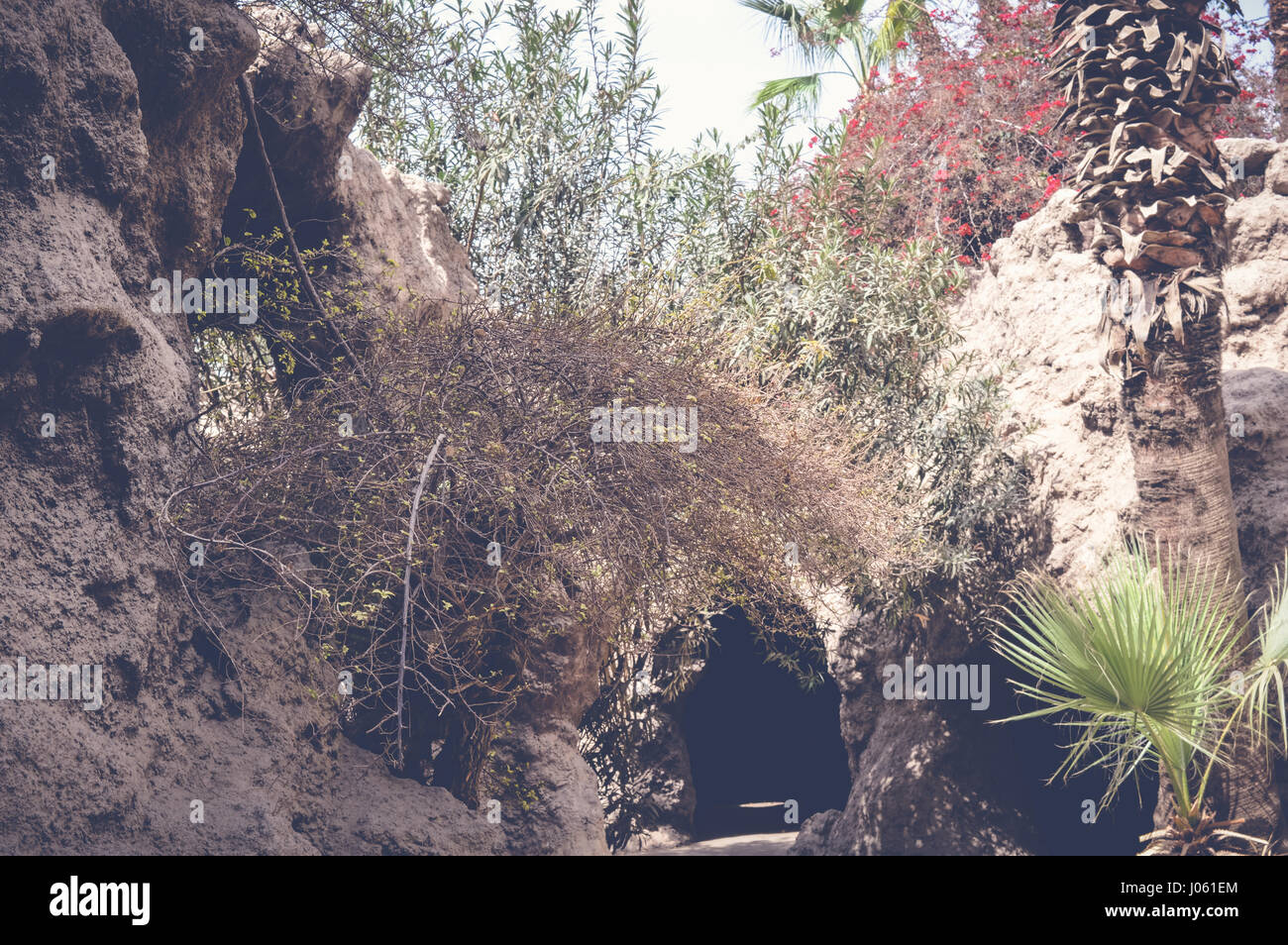 Garden of cave hi-res stock photography and images - Alamy
