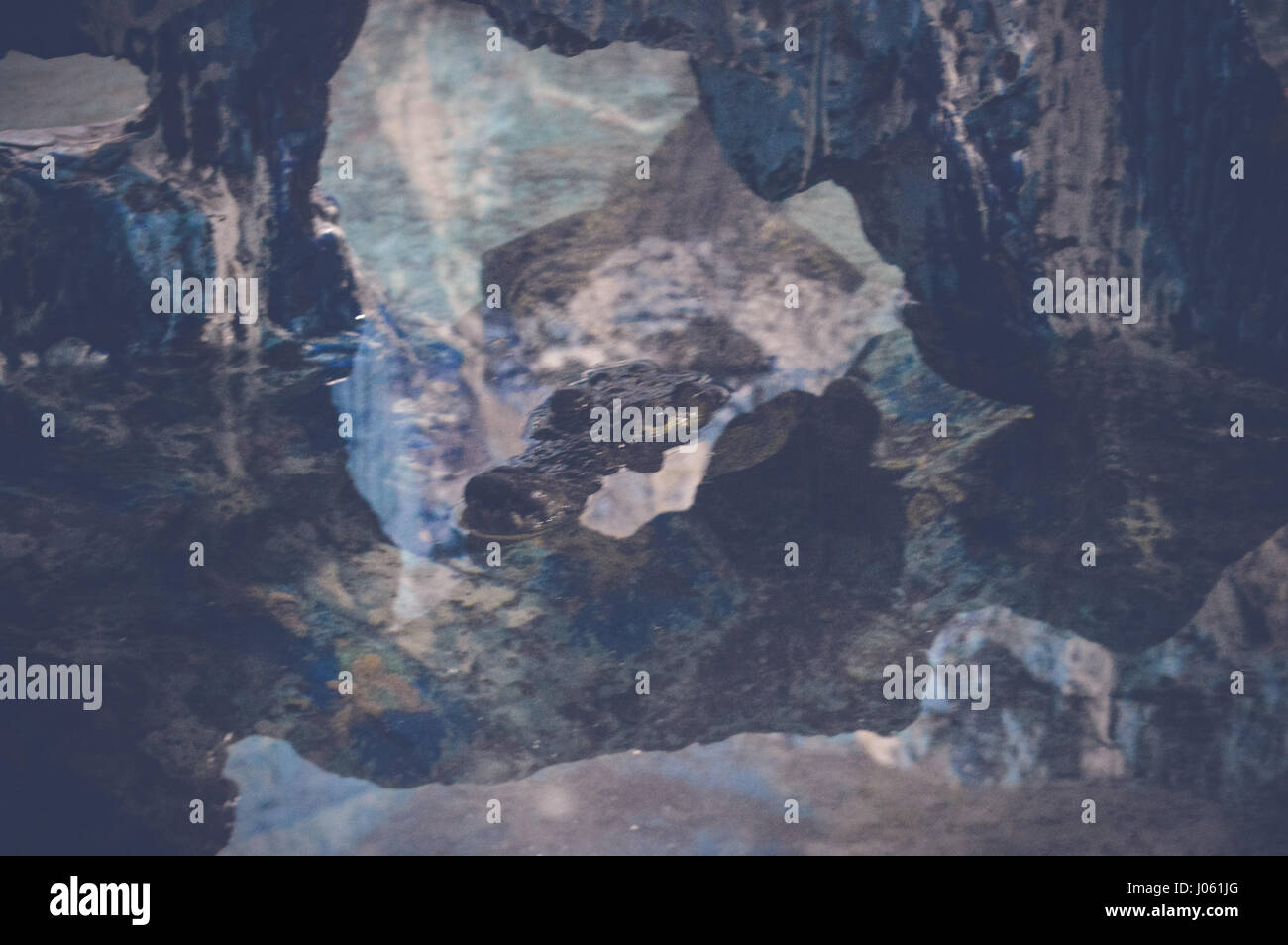 view inside cave background Stock Photo - Alamy