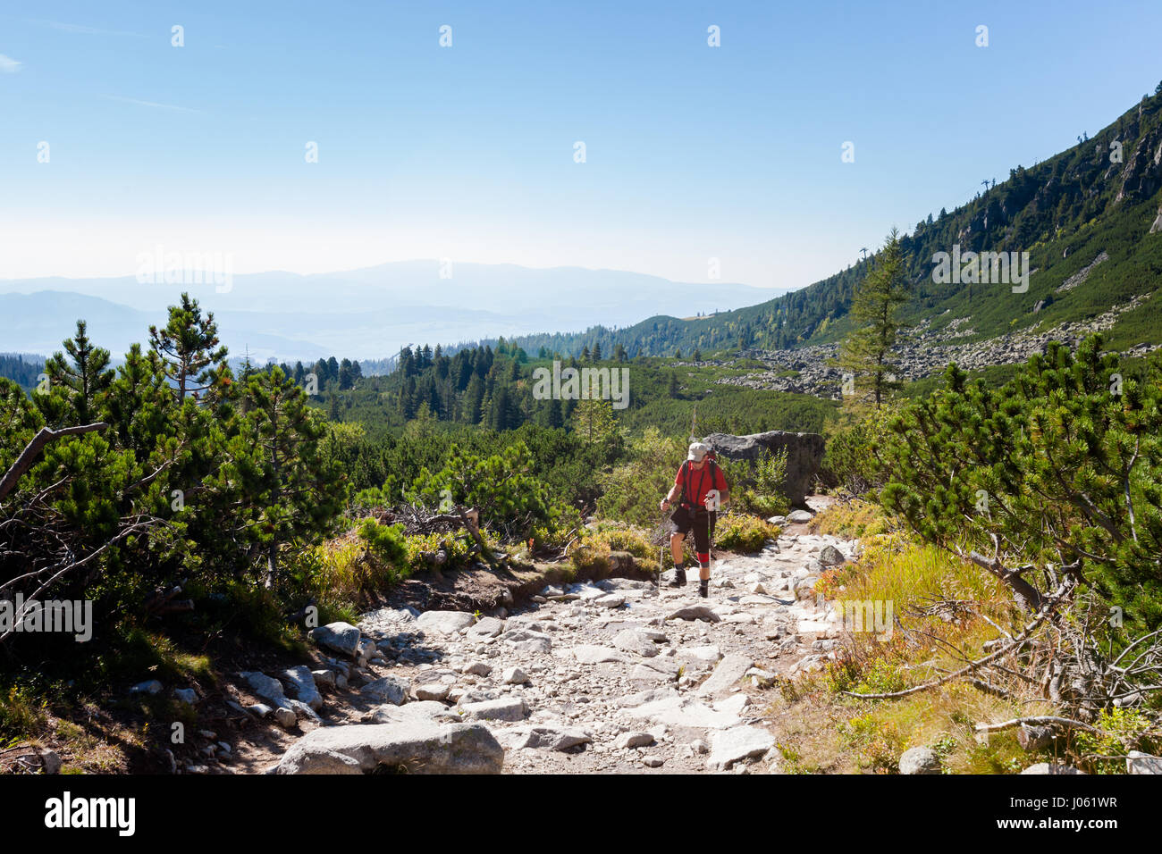 Tourist trekking in Beautiful Mlynicka dolina on the way to Bystre ...