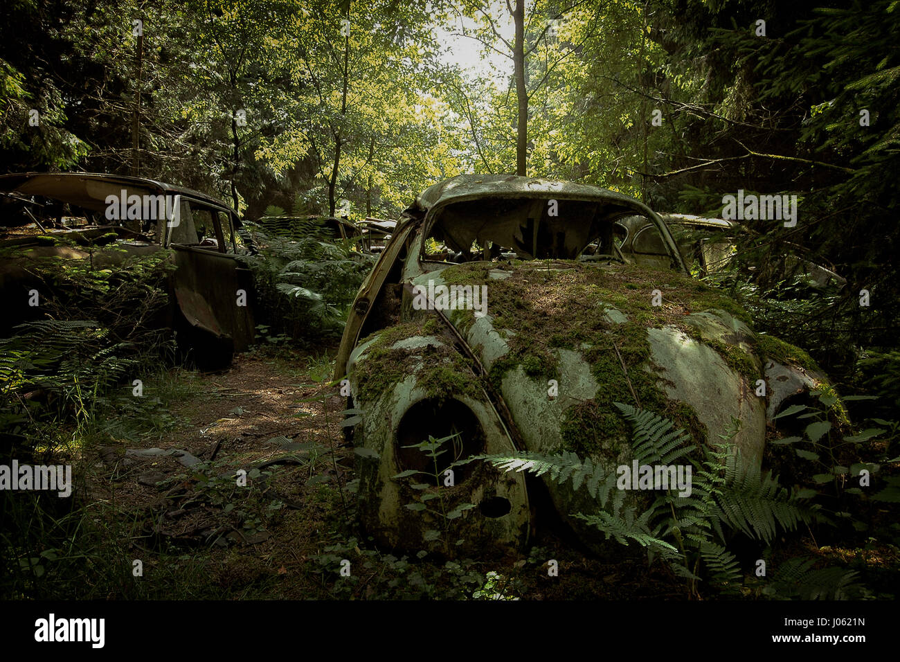 Europe: FEAST yours eyes on Europe’s most spectacular car graveyards as ...