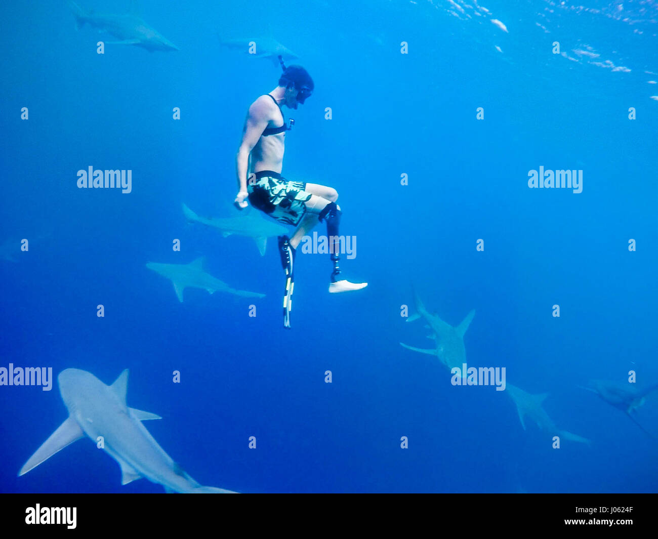 Mike Coots diving with Sandbar Sharks. WATCH the amazing moment an ...