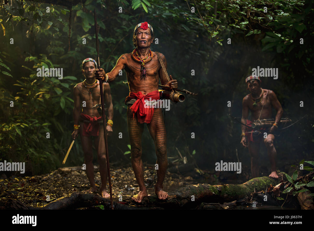 SIBERUT ISLAND, INDONESIA: MAGNIFICENT photographs of the last members ...