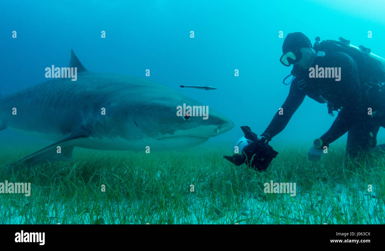Hand reaching underwater hi-res stock photography and images - Alamy