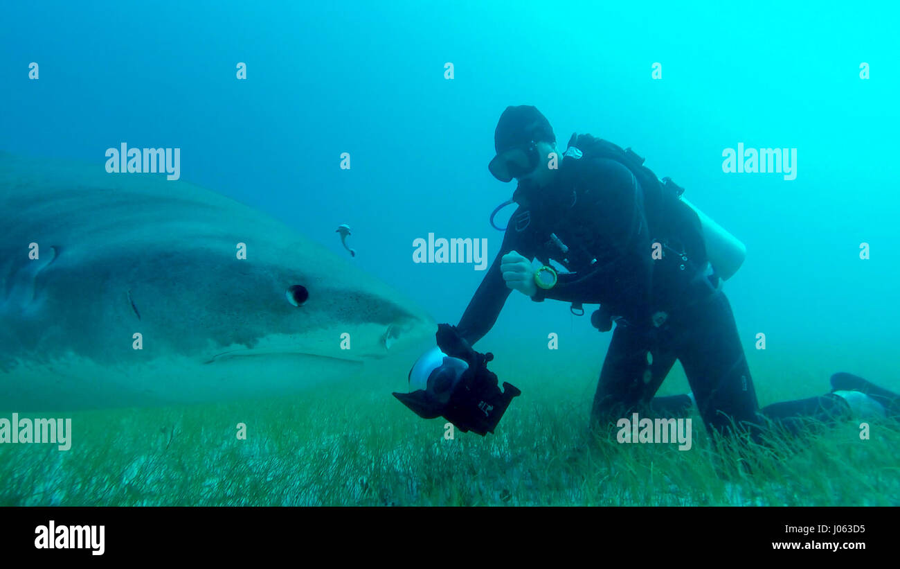 **REQUIREMENT – NOT TO BE PUBLISHED WITHOUT CORRECT PHOTO CREDITS ...