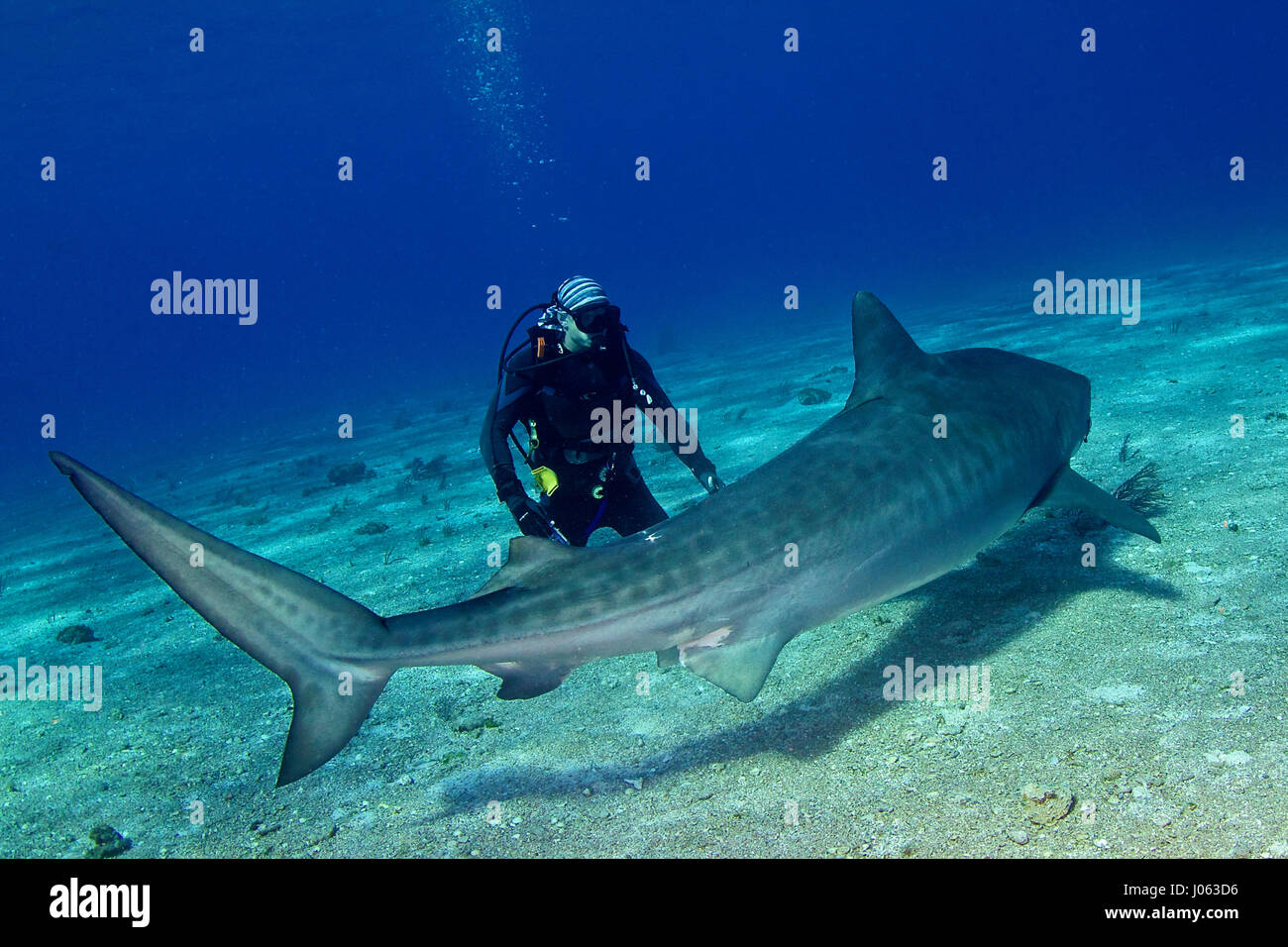 **REQUIREMENT – NOT TO BE PUBLISHED WITHOUT CORRECT PHOTO CREDITS ...