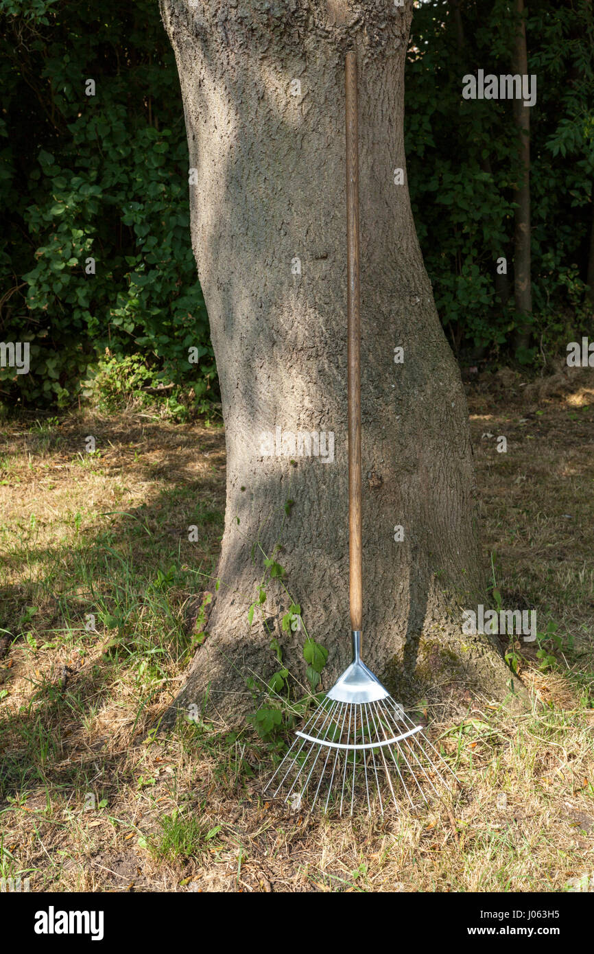 On garden rake hi-res stock photography and images - Alamy