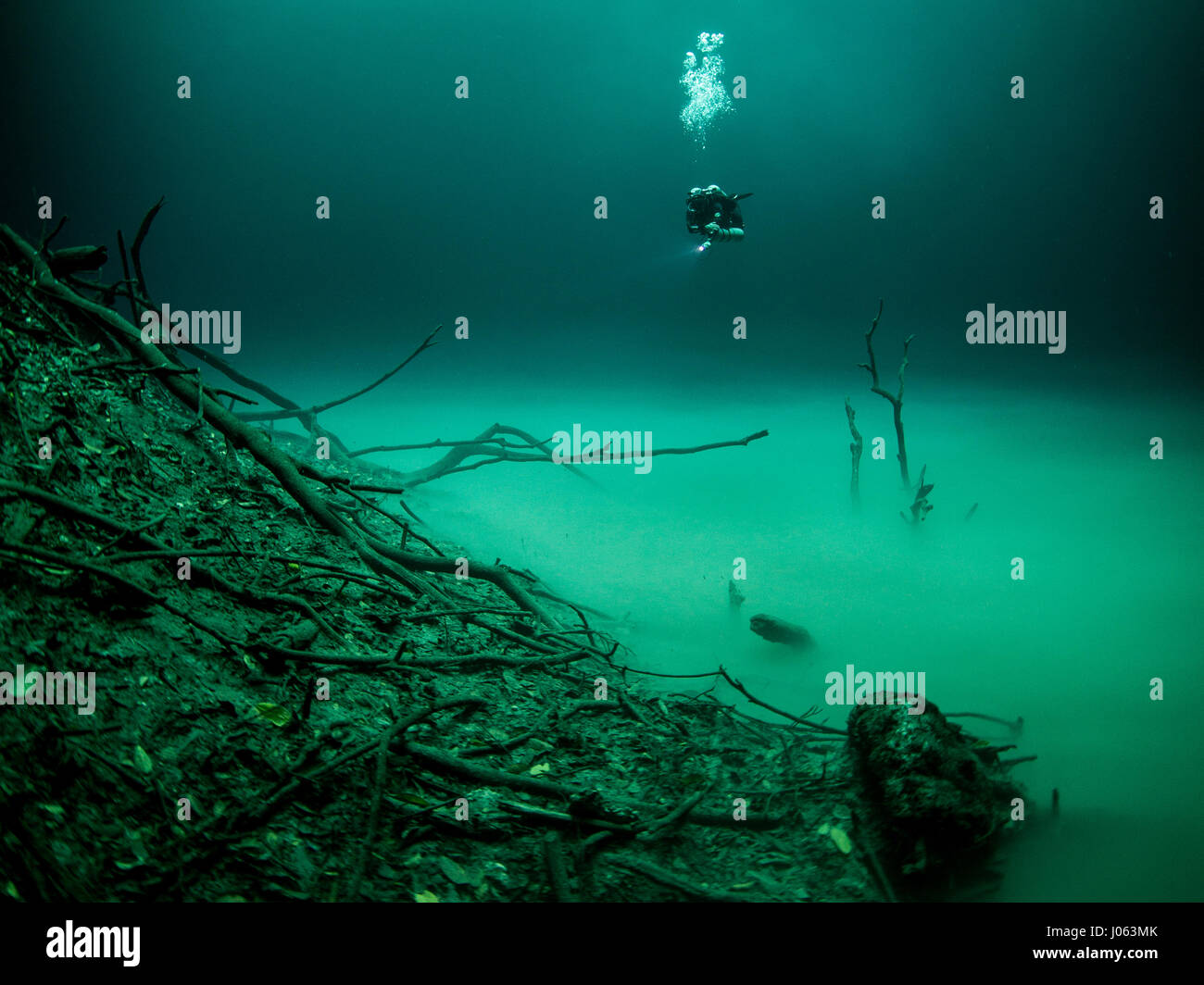 TULUM, MEXICO: A BRITISH diver has captured mind-bending pictures of ...