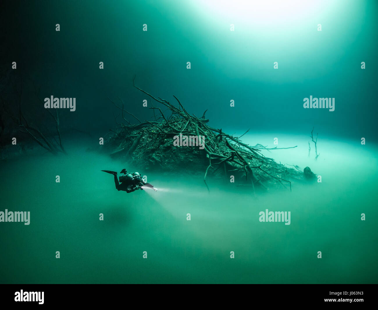 TULUM, MEXICO: A BRITISH diver has captured mind-bending pictures of ...