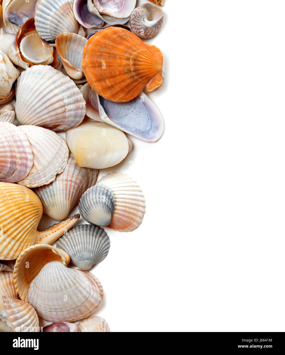 Natural background of seashells isolated on white with copy space Stock ...