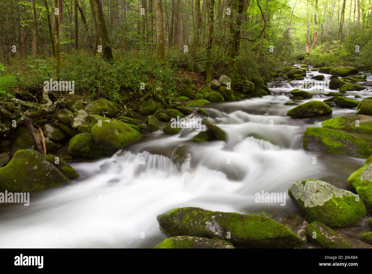 Roaring Forks Motor Trail Stock Photo - Alamy