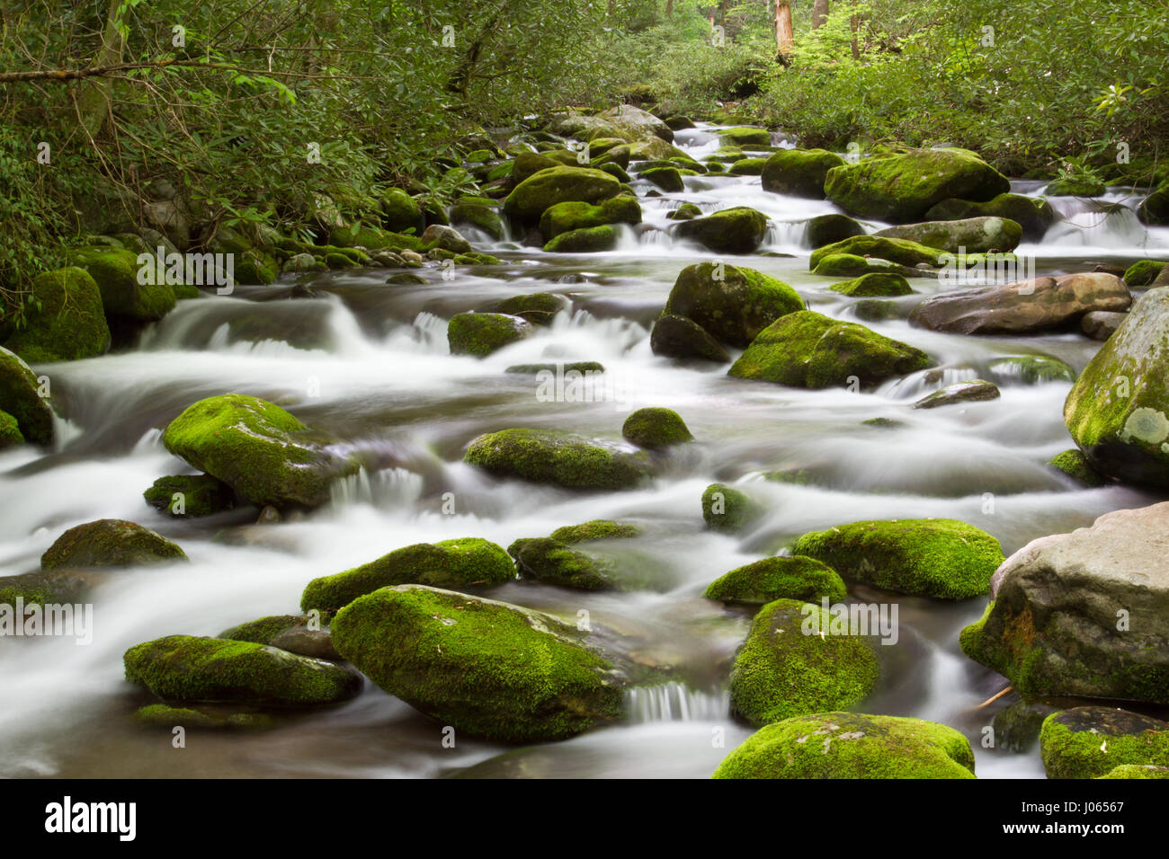 Roaring Forks Motor Trail Stock Photo - Alamy