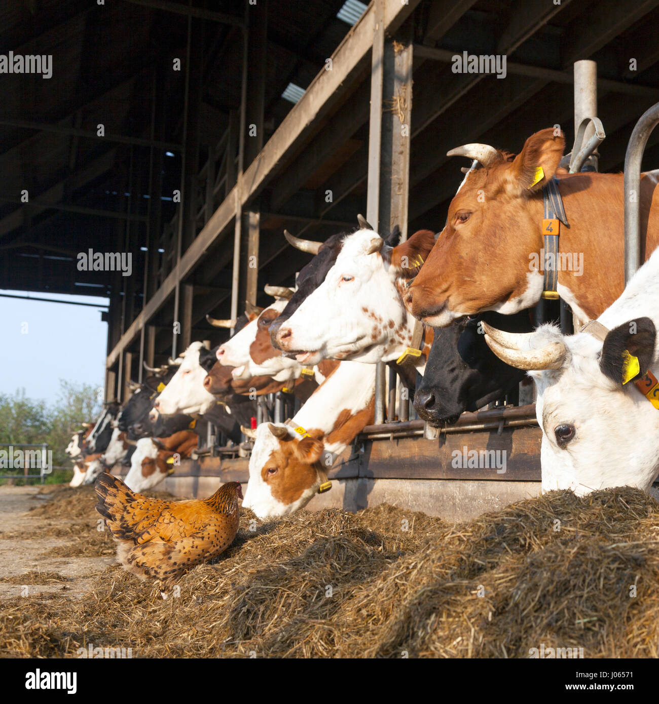 Biosolids agriculture hi-res stock photography and images - Alamy