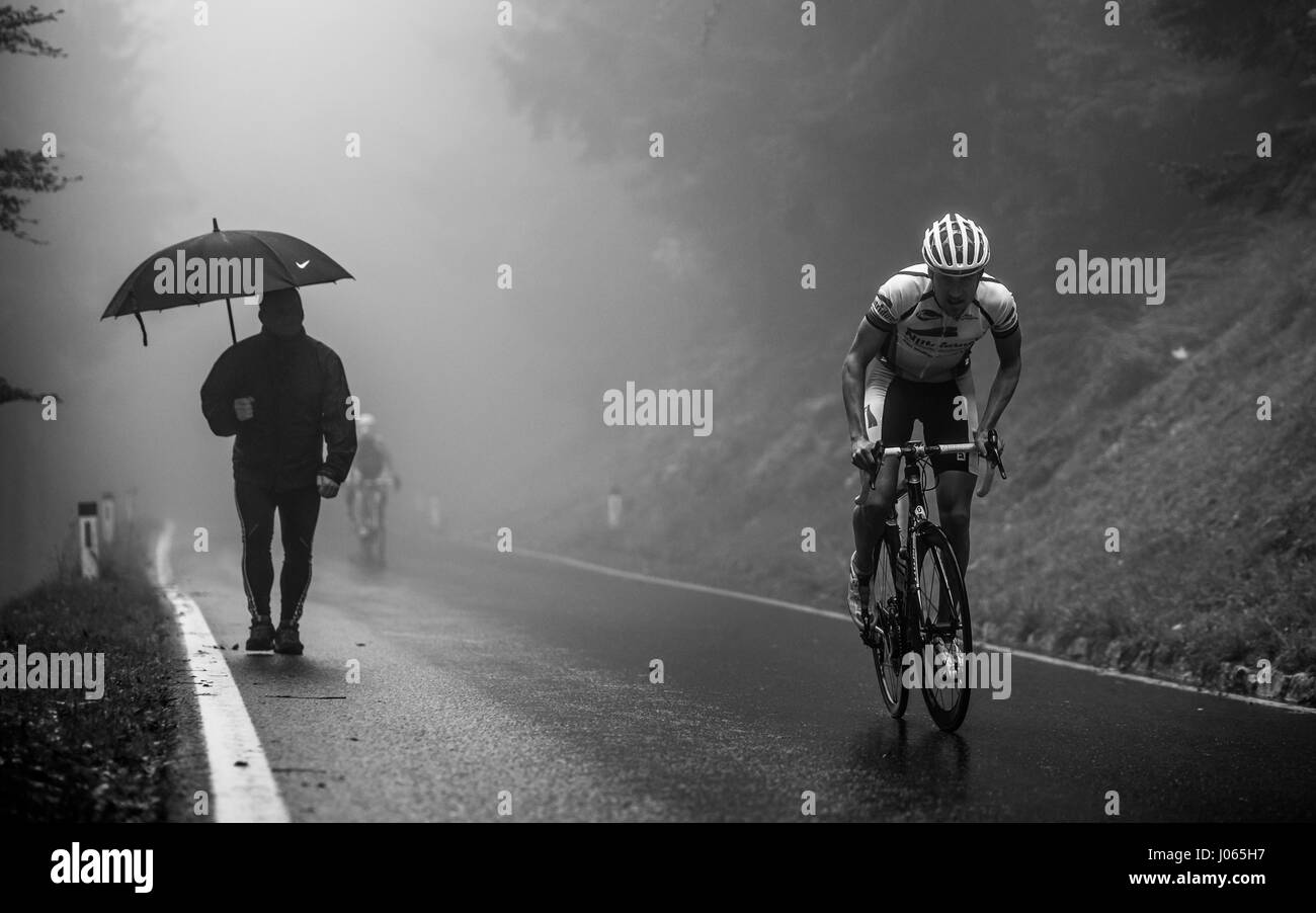 A professional bike rider races up the Geisberg mountain in foggy and ...