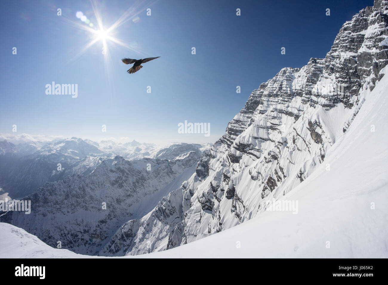 Hawk mountain range hi-res stock photography and images - Alamy