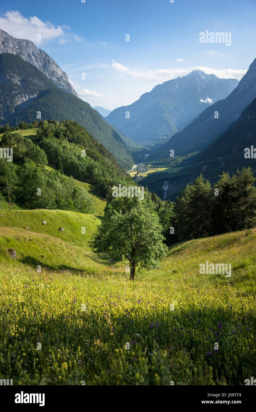 The breathtaking view of Mangart Mountain in Bovec, Slovenia Stock ...