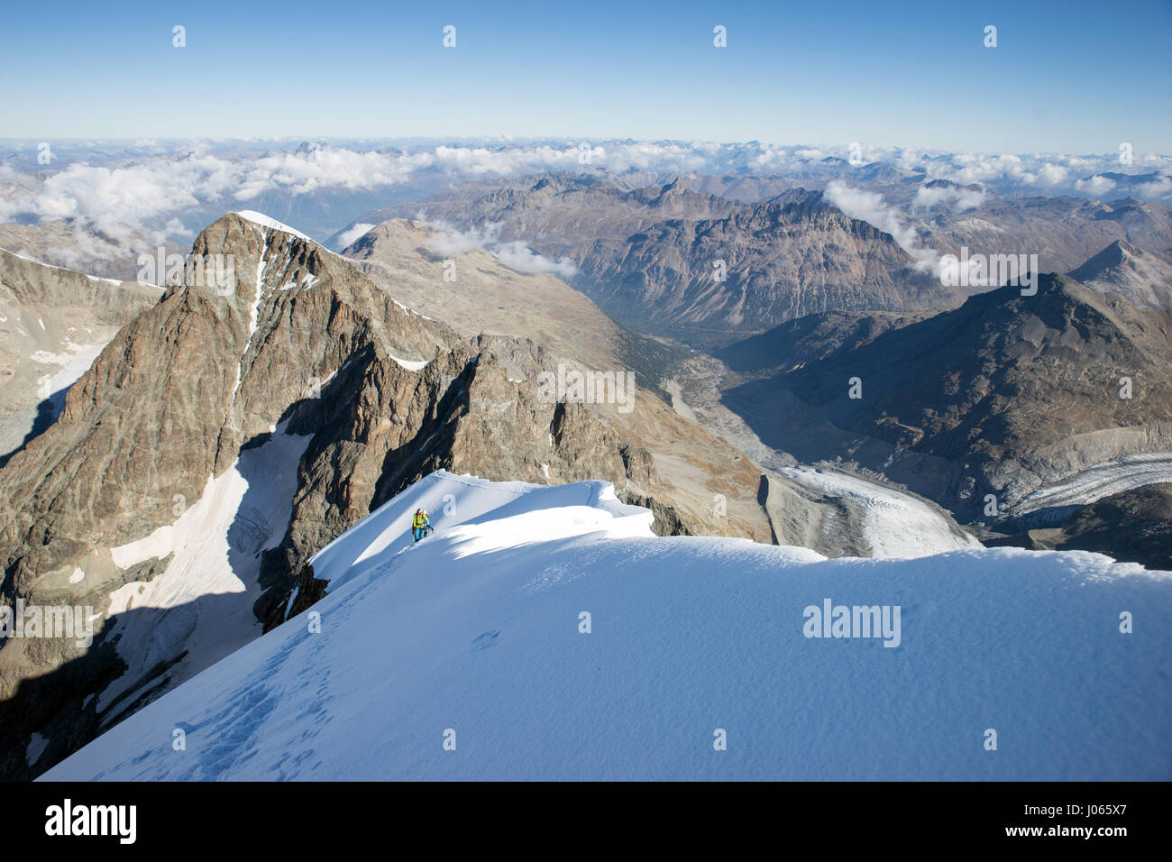 A mountaineer exploring the beautiful Piz Bernina. Piz Bernina is the ...