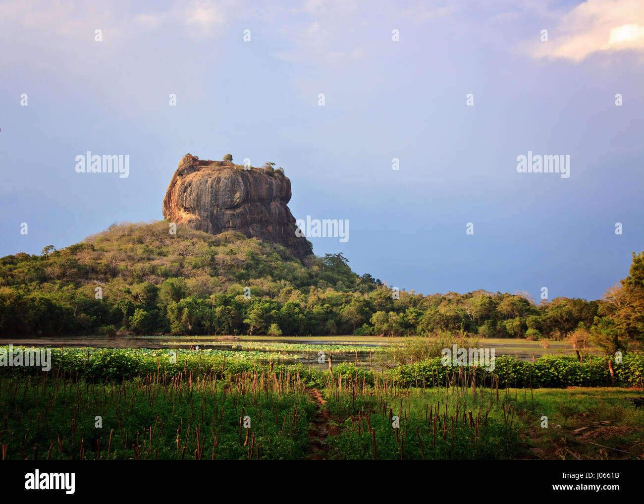Sigiriya sri lanka part mountain hi-res stock photography and images ...