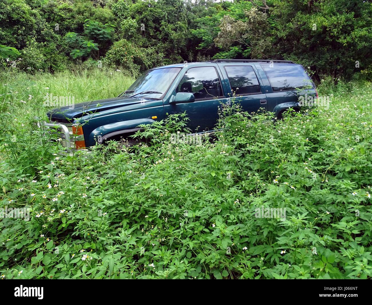 A abandoned SUV Stock Photo - Alamy