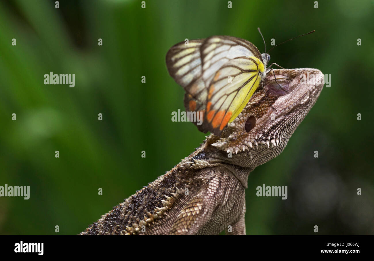 Deep kissing hi-res stock photography and images - Alamy