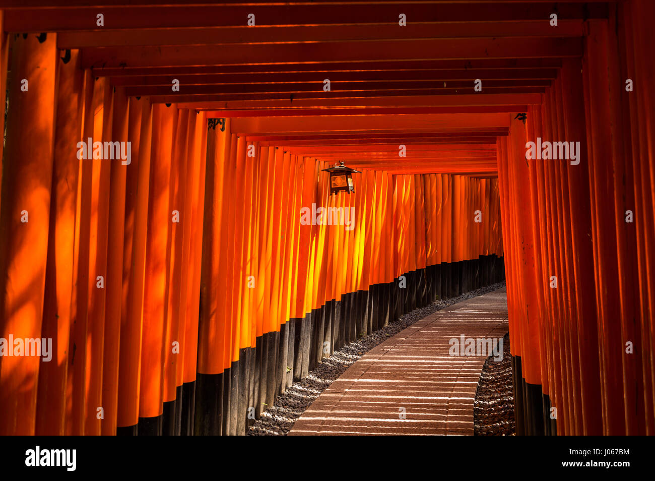 Inari temple hi-res stock photography and images - Alamy