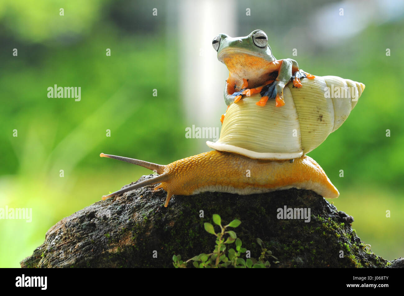 Hitchike High Resolution Stock Photography and Images - Alamy