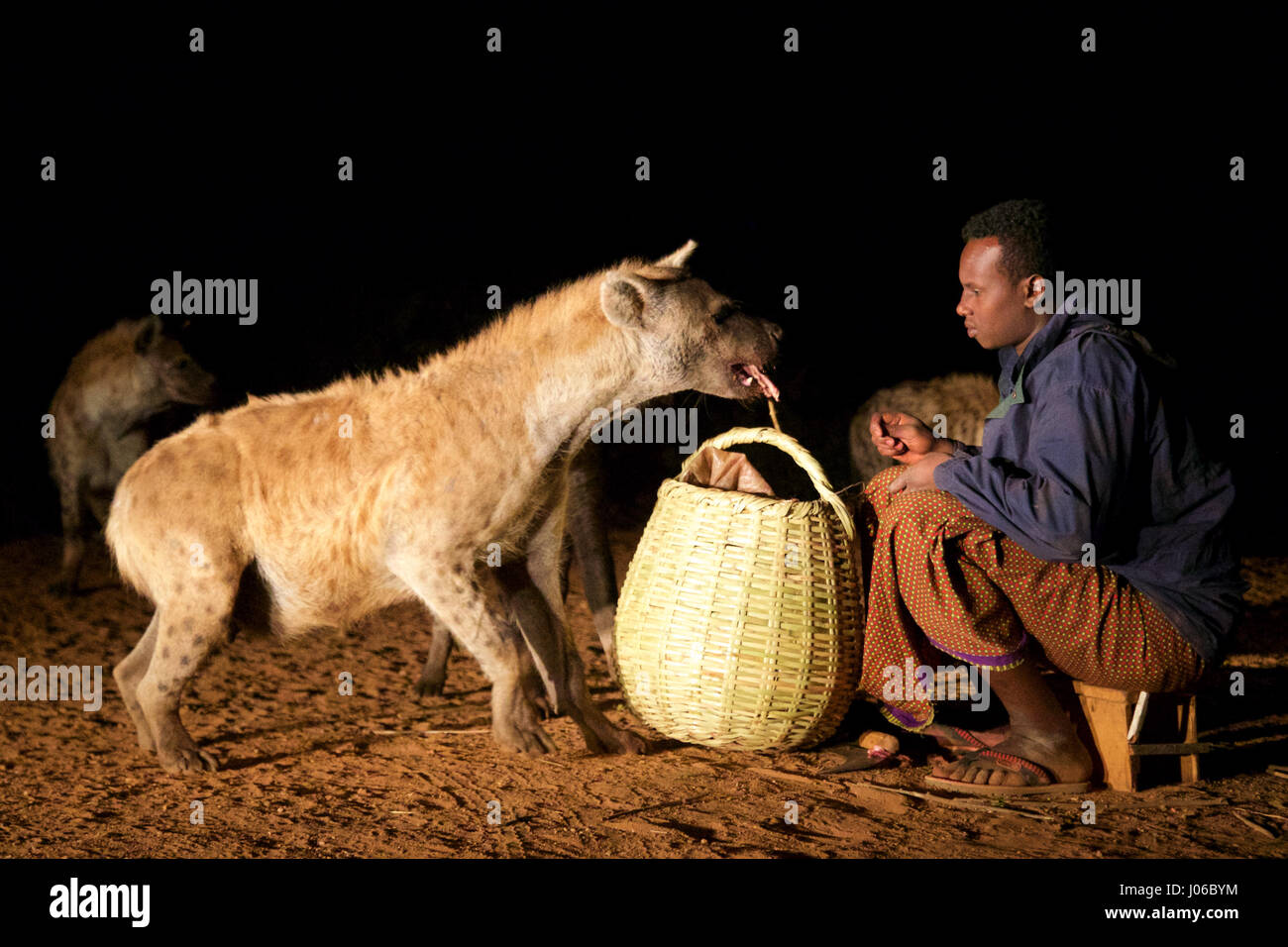 HARAR, ETHIOPIA: New 'Hyena Man' Abbas Saleh feeding a hyena. MEET the ...