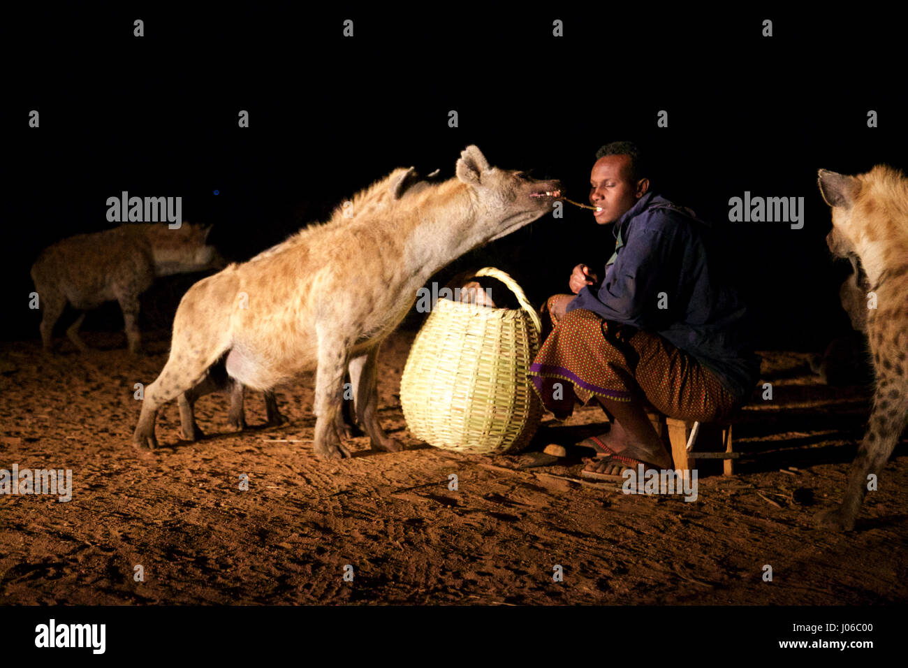 HARAR, ETHIOPIA: New 'Hyena Man' Abbas Saleh feeding a hyena. MEET the ...
