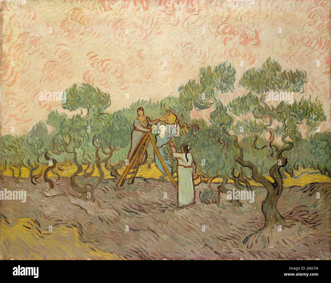'Olivenpflücker' (Olive Picker) by Vincent van Gogh showcases the ...
