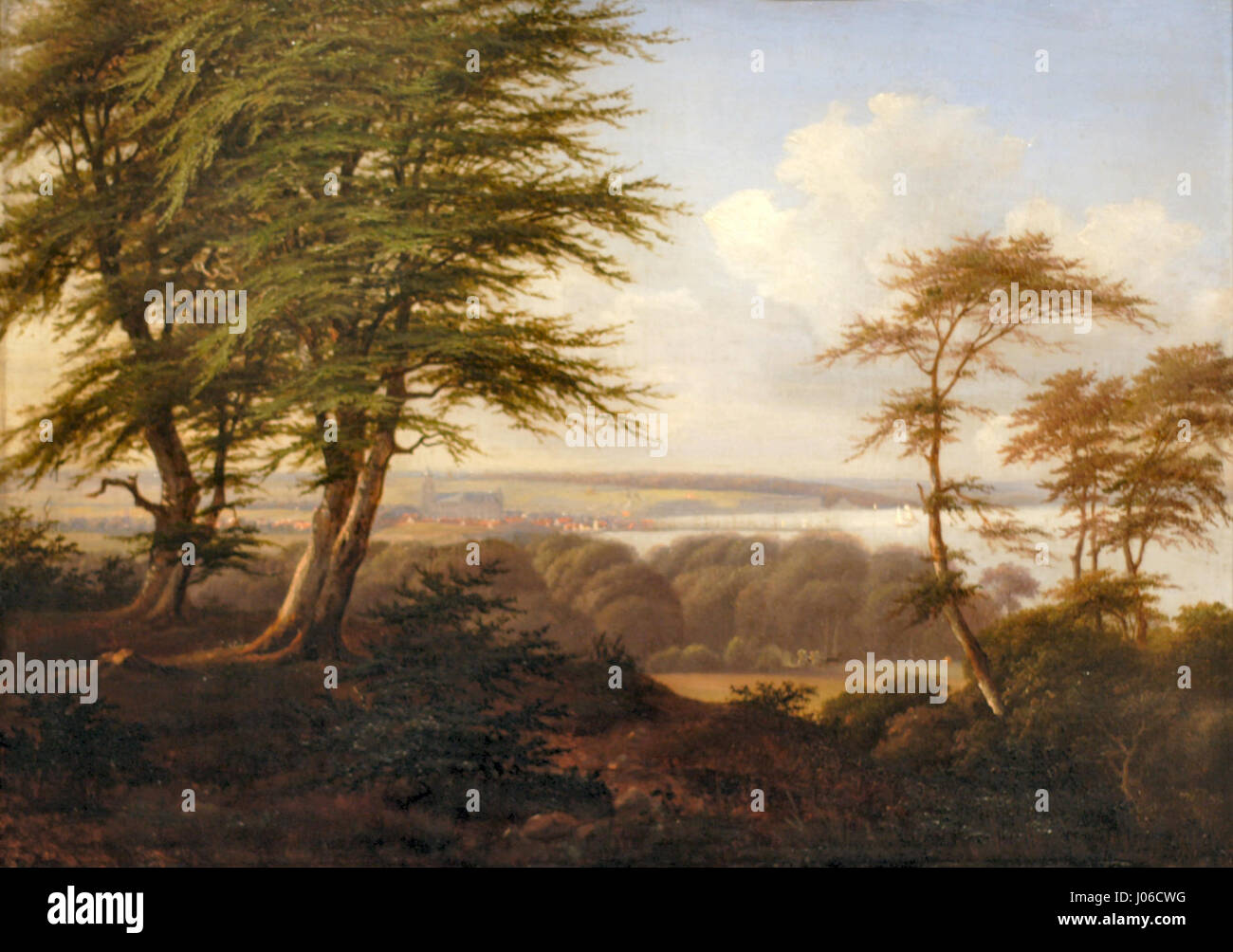 Århus - set fra Moesgaard skov Stock Photo - Alamy