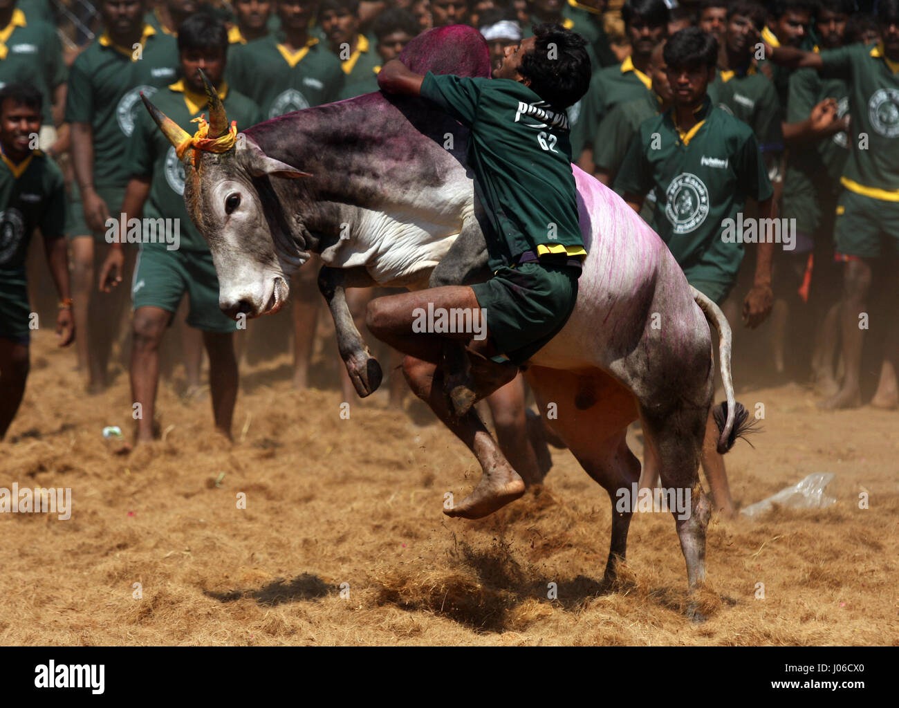 MADURAI, INDIA: SPECTACULAR images from a controversial and now banned ...