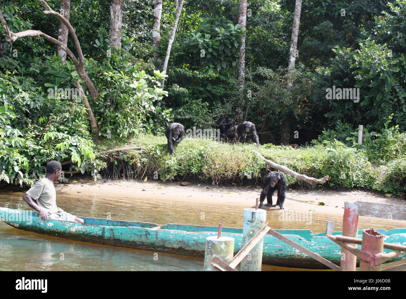 MONKEY ISLAND, LIBERIA: FEAST YOUR EYES on this paradise island where ...